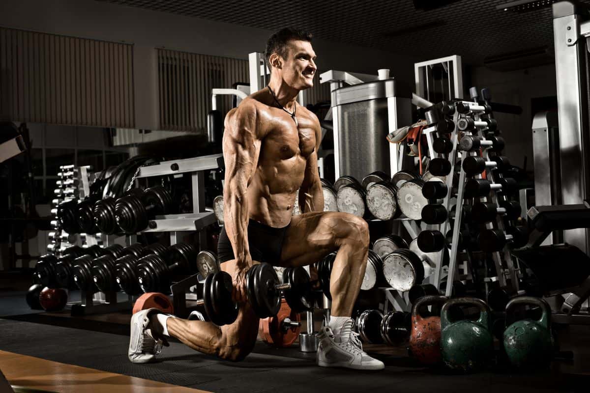 PPL (Push/Pull/Legs) Workout Plan – Gentec Labs