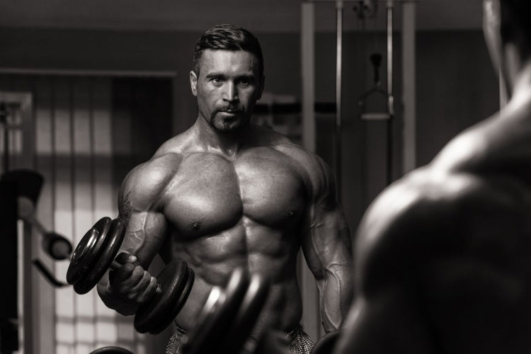 Bodybuilding 101: Everything You Need to Know to Get Started – Gentec Labs