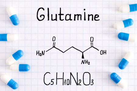 The Importance of Glutamine: Benefits, Sources, and Supplementation ...